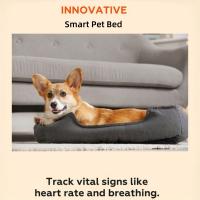 China Smart Reptile Pet Bed Health Monitor Track Heart Rate Breathing Rate Sleep Pad WiFi Control Outdoor & Car Use Pet Mat for sale