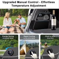 China New Portable Compact Compressor Vehicle Mini Car Refrigerator Tesla Model Y 16L Capacity Digital Display Frost-Free USB Port Low for sale