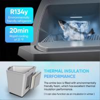 China New Y Portable Compact Thermoelectric Vehicle Mini Car Refrigerator for Tesla Model Y 16L Capacity Digital Display for Outdoor for sale