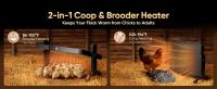 China Chicken coop heater reducing fire hazards by avoiding overheating common in traditional heat lamps used in poultry care for sale
