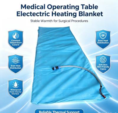 China Electric Heated Pad Suitable for Hospitals Clinics Rehabilitation Crowds and Home Based Physical Therapy Applications for sale