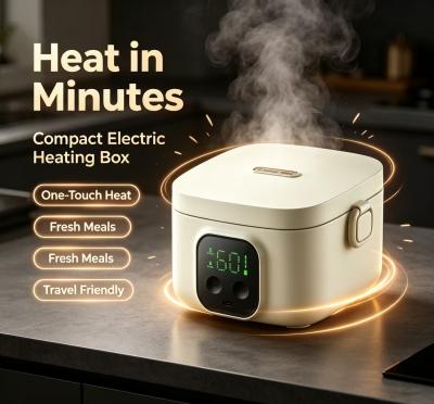 China Pasteurization Electric Heated Lunch Box USB Powered, 500ml 304 Stainless Steel Food Heating Container, Multi Temperature Control for sale