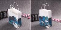 China Custom Logo Printing Paper Shopping Bags with Handles for Your Advertising Needs for sale