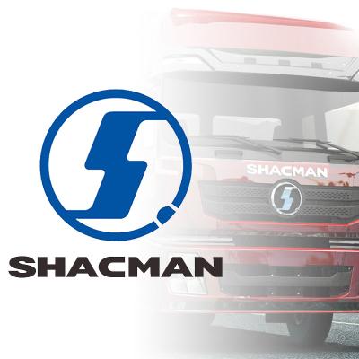 China Shacman Truck Cabin Exterior Parts Headlights Bumpers Panels Rearview Mirrors 24V for sale