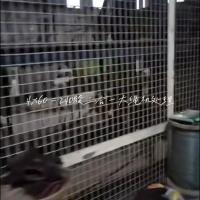 China 4 Strands Plastic Rope 2 In 1 Twisted Rope Making Machine Second Hand for sale