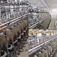 China Used PA Nylon Cotton Doubling Tfo Yarn Twisting Machine 5000r/Min for sale