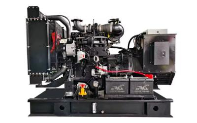 China 22KW 25KVA 28KVA  Diesel Generator 20kw 3 Phase Diesel Generator 39.6A for sale