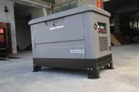 China Silent Three-fuel 18kVA 21kVA 25kVA Tri-fuel Generator Multi-fuel Generator Set for Commercial Backup Power for sale