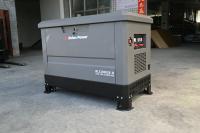 China Silent Three-fuel 18kVA 21kVA 25kVA Tri-fuel Generator Multi-fuel Generator Set for Commercial Backup Power for sale