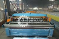 China Colored Steel Plate / Galvanized Board Sheet Roll Forming Machine With 30 Groups Rollers for sale