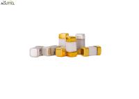 China 6.1x2.5x2.5mm Surface Mount Resettable Fuse 500mA 125VAC Ceramic Tube Body Time-Lag for sale