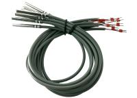 China RTD Class B PT100 Platinum Resistance Micro Temperature Sensor 2 Meter Length 6x50mm Stainless Steel 304 Housing for sale