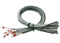 China RTD Class B PT100 Platinum Resistance Micro Temperature Sensor 2 Meter Length 6x50mm Stainless Steel 304 Housing for sale