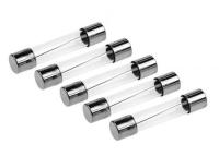 China Glass Tube Cartridge Fuse 6.35x32mm Time Delay Slow Blow 10A 250VAC Ferrule for sale