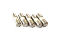 China Fast Blow Ceramic Tube Fuse 2.5A 250VAC Axial Leaded 3.6x10mm Non-Resettable Single Cap for sale