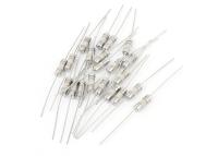 China Fast Blow Ceramic Tube Fuse 2.5A 250VAC Axial Leaded 3.6x10mm Non-Resettable Single Cap for sale