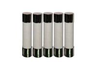 China 6.35x32mm Time Delay Ceramic Tube Fuse Link 10A 250V High Breaking Capacity 1000A Slow Blow for sale