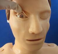 China Electronic Bust CPR Training Manikin Patients Care Demonstration with Advanced PVC for sale