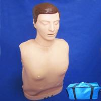 China Electronic Bust CPR Training Manikin Patients Care Demonstration with Advanced PVC for sale