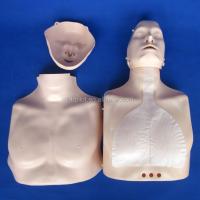 China Half-body CPR Training Manikin The Perfect Addition to Your Emergency Skills Teaching for sale
