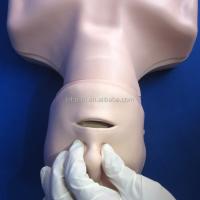 China Half-body CPR Training Manikin The Perfect Addition to Your Emergency Skills Teaching for sale