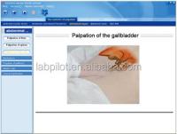 China Teaching Network and Software Medical Training Model for Blood Pressure Measurement for sale