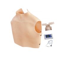 China Human Life Size Medical Science Tool Cardiopulmonary Auscultation Model for Teaching for sale
