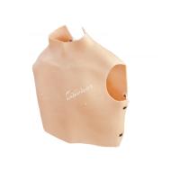 China Human Life Size Medical Science Tool Cardiopulmonary Auscultation Model for Teaching for sale