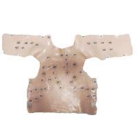 China Human Life Size Medical Science Tool Cardiopulmonary Auscultation Model for Teaching for sale