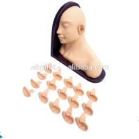 China Medical Science Ear Diagnostic Training Model for Clinical Nursing Skills Education for sale