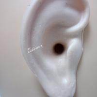 China Human Life Size Vivid Ear Model The Ultimate Tool for Ear Irrigation Training Simulator for sale