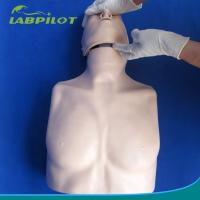China Simple Type First Aid Half Body CPR Training Manikin for School Training Facility for sale