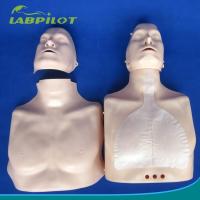 China Simple Type First Aid Half Body CPR Training Manikin for School Training Facility for sale