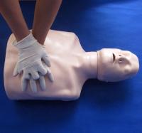 China Simple Type First Aid Half Body CPR Training Manikin for School Training Facility for sale