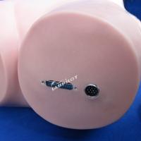 China Abdominal Palpation Simulator for Nursing Education and Realistic Human Simulation for sale