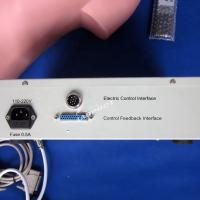 China Abdominal Palpation Simulator for Nursing Education and Realistic Human Simulation for sale
