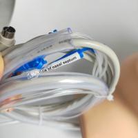 China Vivid Head and Neck Model Nasal Hemorrhage Simulator for Patients Care Demonstration for sale