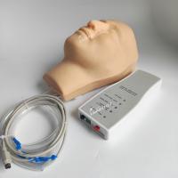 China Vivid Head and Neck Model Nasal Hemorrhage Simulator for Patients Care Demonstration for sale