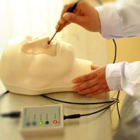 China Vivid Head and Neck Model Nasal Hemorrhage Simulator for Patients Care Demonstration for sale
