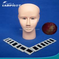 China Manikin for Advanced Human Eye Examination Training Simulator Retinopathy Fundus Model for sale