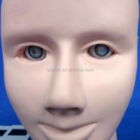 China Manikin for Advanced Human Eye Examination Training Simulator Retinopathy Fundus Model for sale