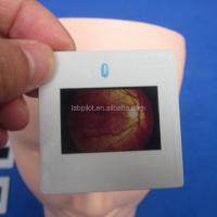 China Manikin for Advanced Human Eye Examination Training Simulator Retinopathy Fundus Model for sale