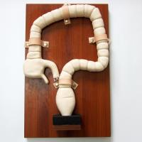 China Human Life Size Colonoscopy Examination Training Model Large Intestine Simulator for sale