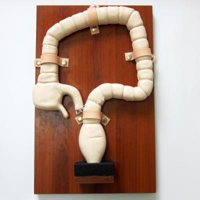 China Human Sigmoidoscope Training with Vivid Large Intestine Model and Life Size Simulator for sale