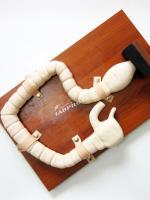 China Human Sigmoidoscope Training with Vivid Large Intestine Model and Life Size Simulator for sale
