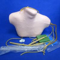 China Advanced PVC CVC Training Simulator for Central Venipuncture and Intubation Education for sale