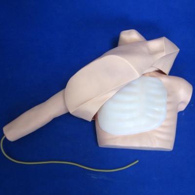 China Peripheral Veins Puncture and Central Venous Catheters Insertion Teaching Model PICC Simulator for sale
