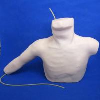 China Peripheral Veins Puncture and Central Venous Catheters Insertion Teaching Model PICC Simulator for sale