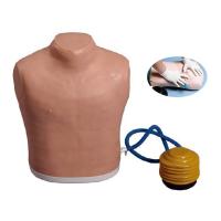 China Medical Science Chest Tube Manikin for Tension Pneumothorax Decompression Training Model for sale