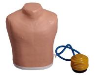 China Medical Science Chest Tube Manikin for Tension Pneumothorax Decompression Training Model for sale